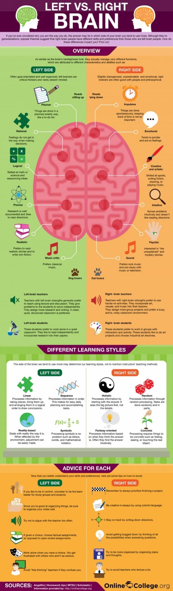 Left-Brain Right-Brain Myth | It's About Learning